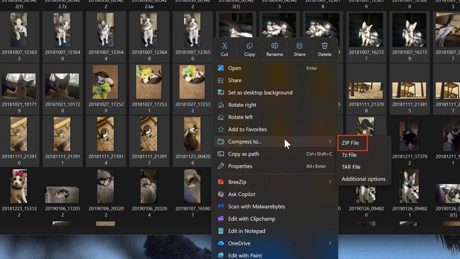 Встроенный архиватор Windows 11: обзор функции | DGL.RU