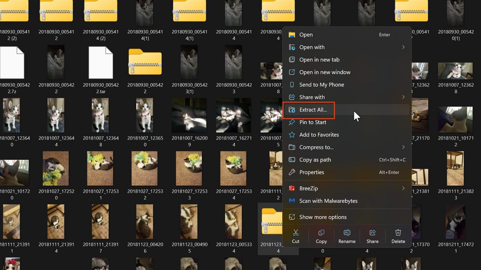 Встроенный архиватор Windows 11: обзор функции | DGL.RU